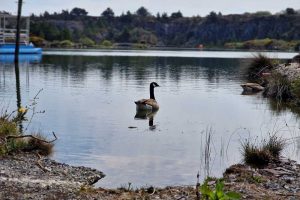 Weddings at Trevassack Lake - CST Experiences